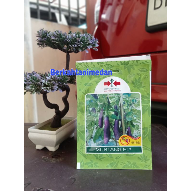 Jual Benih Terong Mustang F1 isi 400 butir | Shopee Indonesia