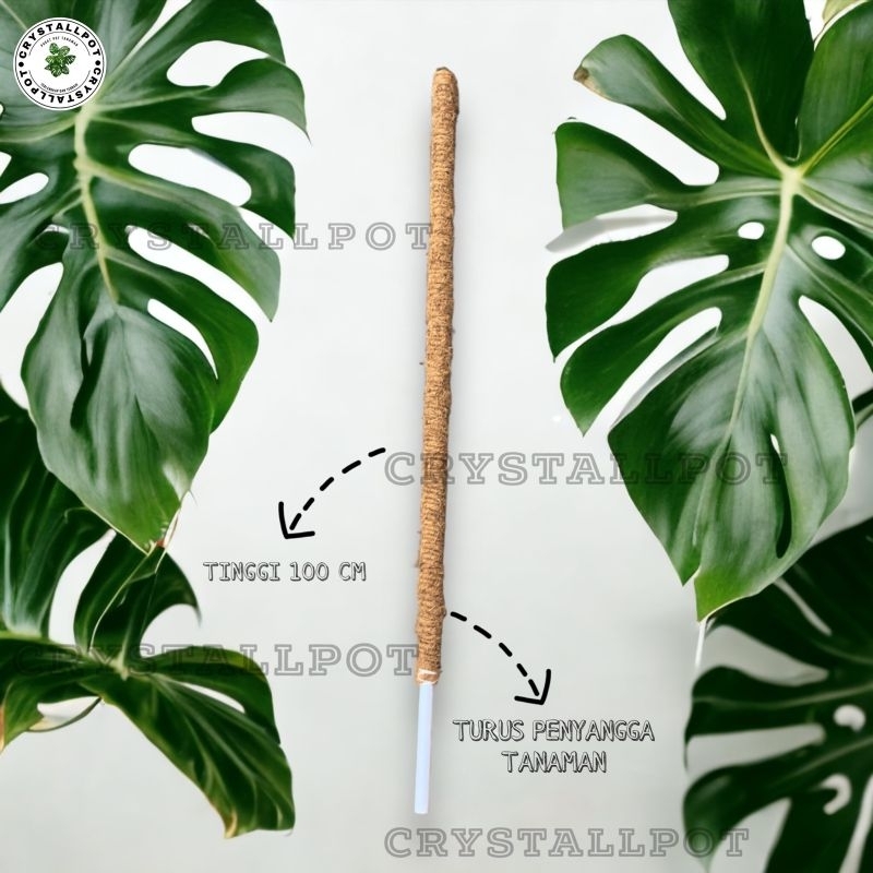 Jual turus rambatan peyangga tanaman rambat panjang 100cm - TURUS LILIT ...