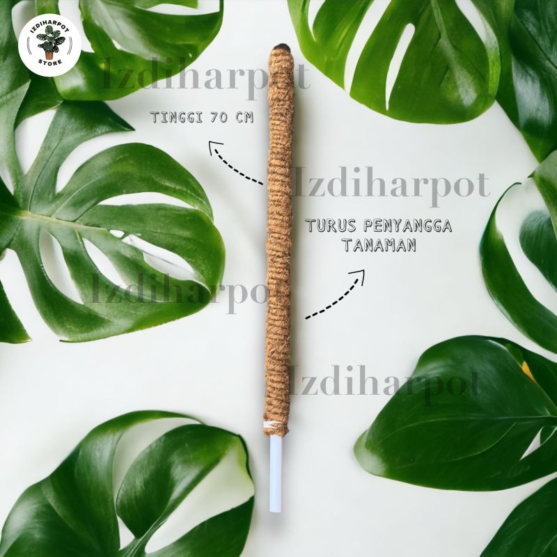Jual turus rambatan peyangga tanaman rambat panjang 70cm - TURUS LILIT ...