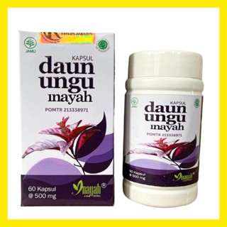 Jual BPOM Kapsul Daun Ungu Obat Herbal Wasir Ambeien Inayah ash shihah | Shopee Indonesia
