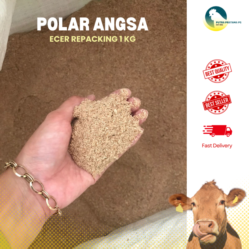 Jual POLAR ANGSA ECER Repacking 1 KG - Polar Gandum Cap Angsa Bogasari ...