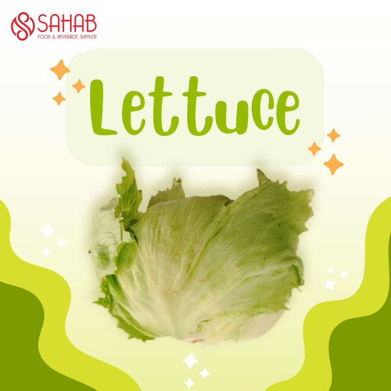 Jual Sayur Lettuce/ Lettuce / Sayur segar | Shopee Indonesia