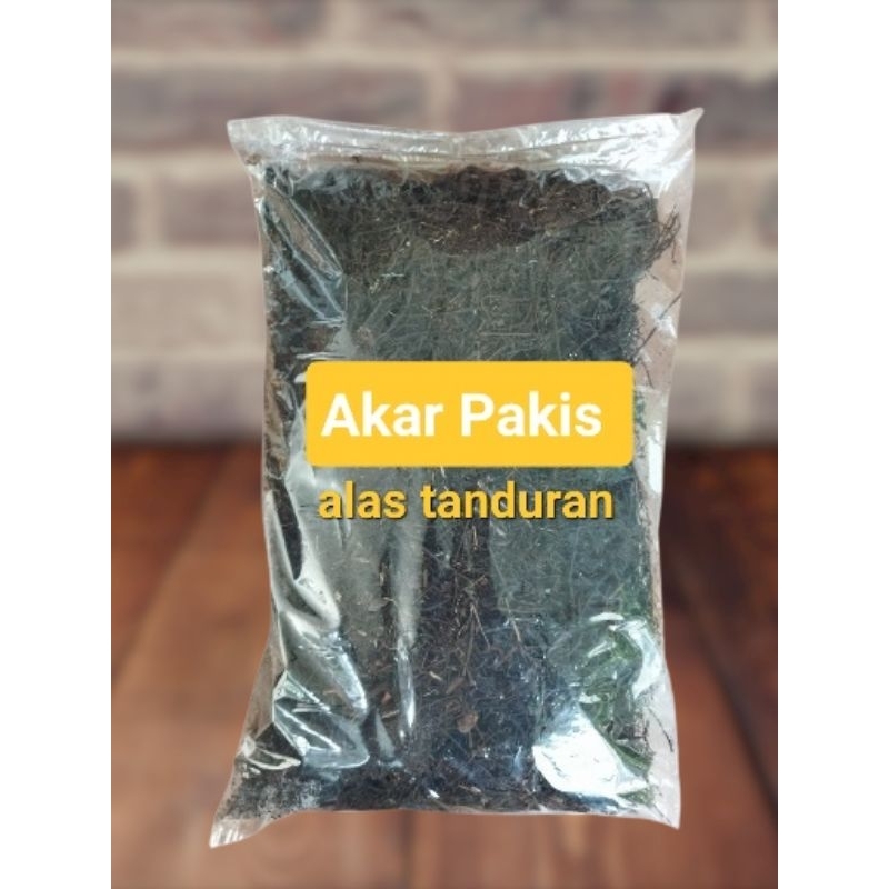 Jual Media Tanam Akar Pakis Repacking 100 gram | Shopee Indonesia