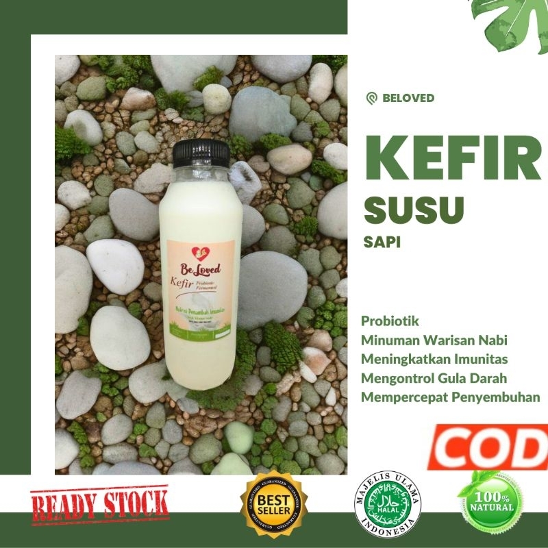 Jual Kefir Susu Sapi Probiotik Minuman Fermentasi KLF 1 Liter | Shopee ...