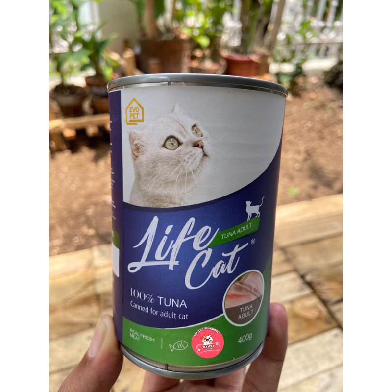 Jual Lifecat Tuna Adult wet food kaleng | Shopee Indonesia