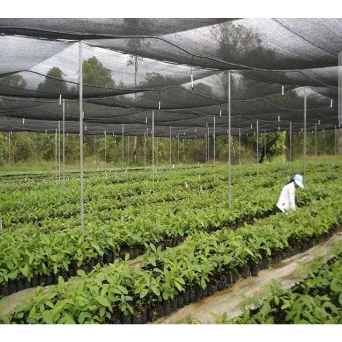 Jual UltraShade WS3 | Shopee Indonesia