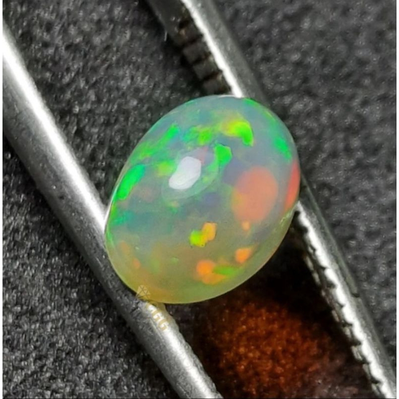 Jual natural kalimaya full jarong nyala garansi asli tanpa ring ...