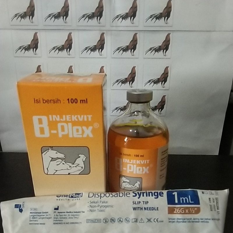 Jual Vitamin B complex injeksi 100ml+spuit 1 ml | Shopee Indonesia