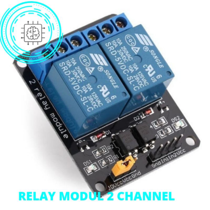 Jual Modul Relay 5Volt 2 Channel Output 250V ac 30VDC With Optocoupler ...