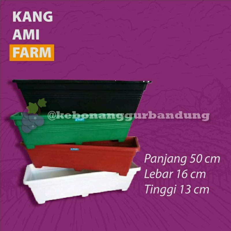 Jual Pot persegi panjang 50cm | Shopee Indonesia