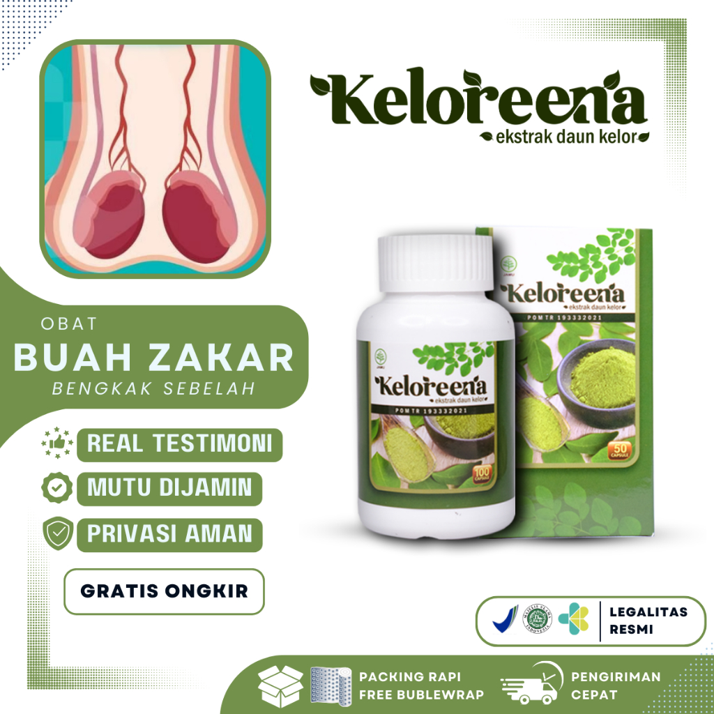 Jual Obat Benjolan di Penis Buah Zakar Bengkak Sebelah Varikokel ...