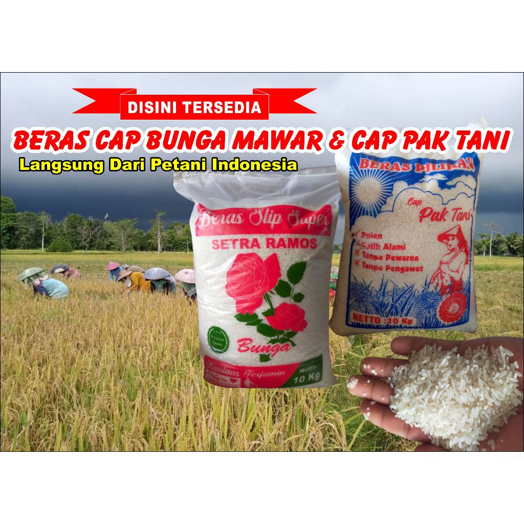 Jual Beras Cap Mawar 8,8 Liter | Asli Langsung Dari Petani Padi ...