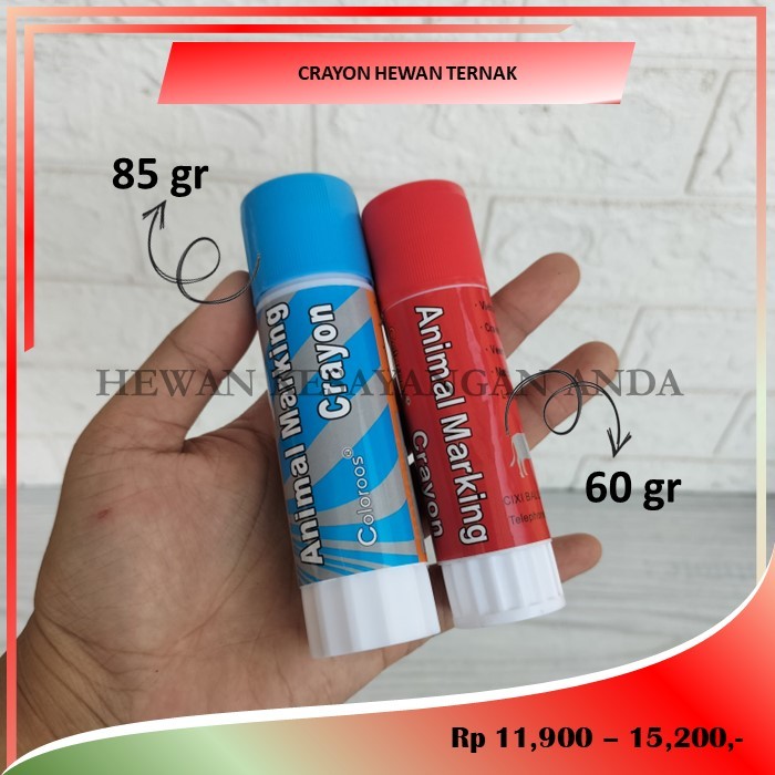 Jual Crayon Spidol Ternak Animal Marking Crayon untuk Tanda Tubuh Babi ...