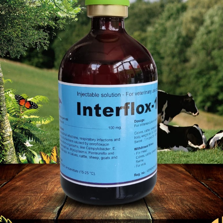 Jual Interflox 100ml Mengobati Infeksi Saluran Pernafasan dan ...
