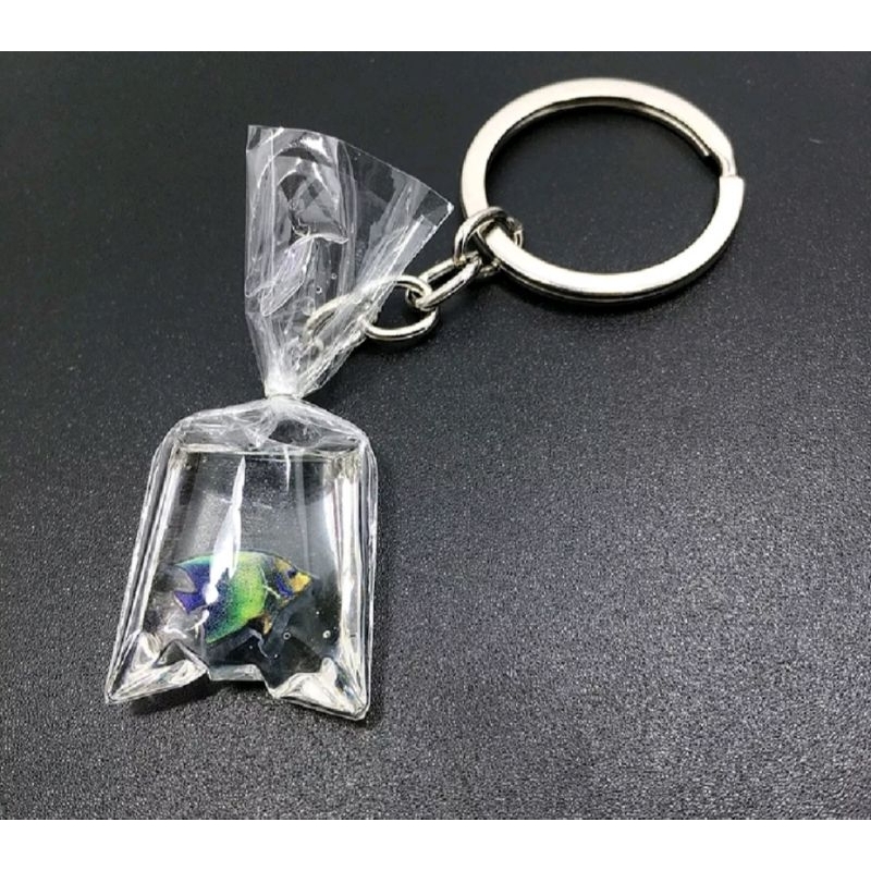 Jual Gantungan kunci miniatur ikan didalam plastik | Shopee Indonesia