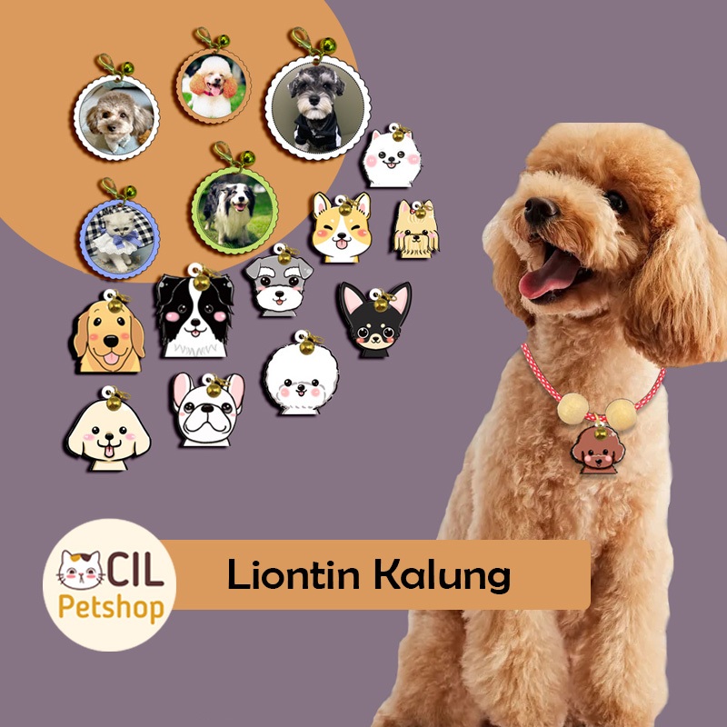 Jual Pet Tag Liontin Kalung Lonceng Anjing Lucu | Shopee Indonesia