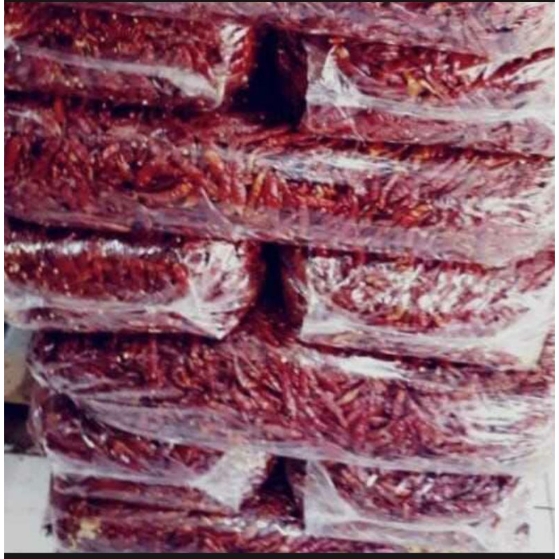 Jual 5 KG CABE TEJA /CAPLAK /RAWIT /CABE SEBLAK KWALITAS SUPER PEDAS ...
