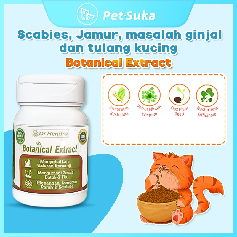 Jual 1 kapsul Vitamin Kucing Ekstrak Tumbuhan Obat Jamur Kucing Obat ...