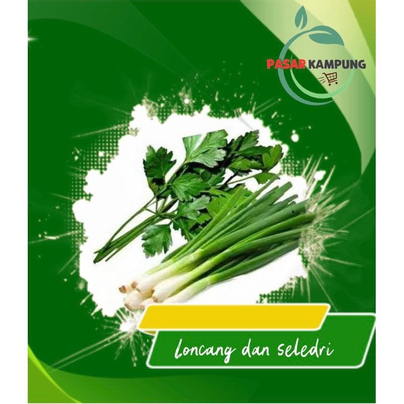 Jual Paket Loncang sledri (jumlah sesuai harga pasar) | Shopee Indonesia