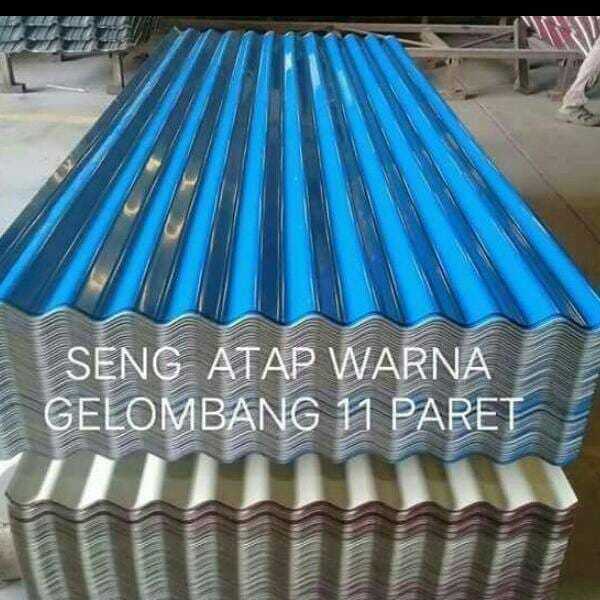 Jual SENG GELOMBANG WARNA ANGSA GALVALUM | Shopee Indonesia