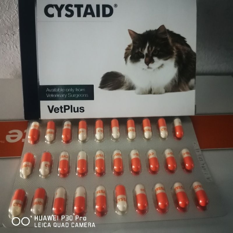 Jual 1 BOX (ISI 30 CAPSUL) CYSTAID VETPLUS OBAT UNTUK SALURAN KENCING ...
