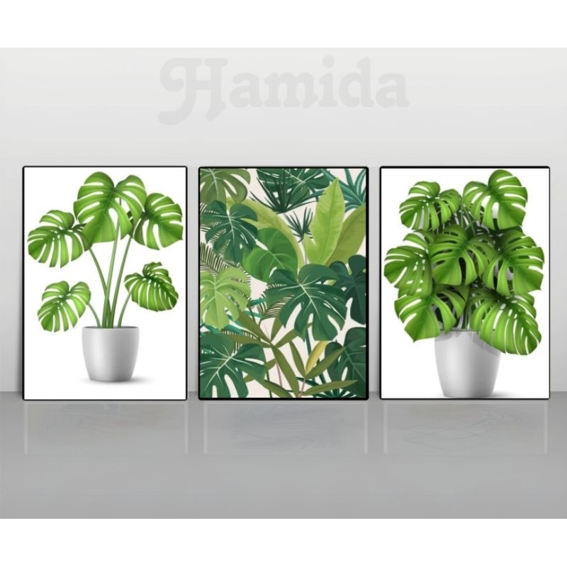Jual Lukisan aesthetic daun monstera, dekorasi rumah nuansa tropis ...