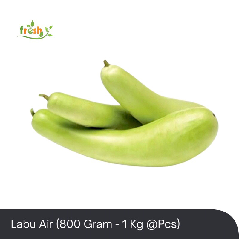 Jual Labu Air (Harga Satuan) | Shopee Indonesia