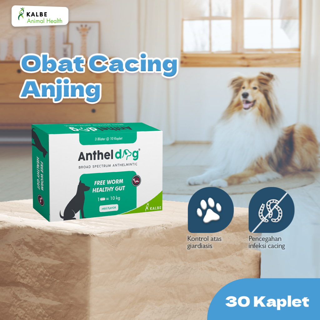 Jual Anthel Dog 1 Box @30 Tablet - Obat Cacing Anjing by Kalbe ...