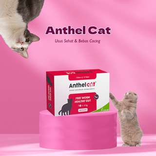 Jual Anthel Cat 1 Tablet - Obat Cacing Kucing by Kalbe [ORIGINAL ...