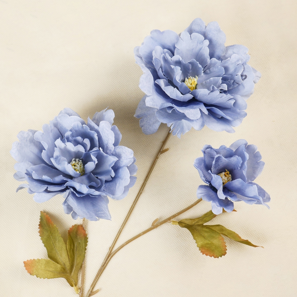 Jual Bunga Mutan Peony Jumbo Tangkai Panjang Cabang 3 Flowers Besar ...