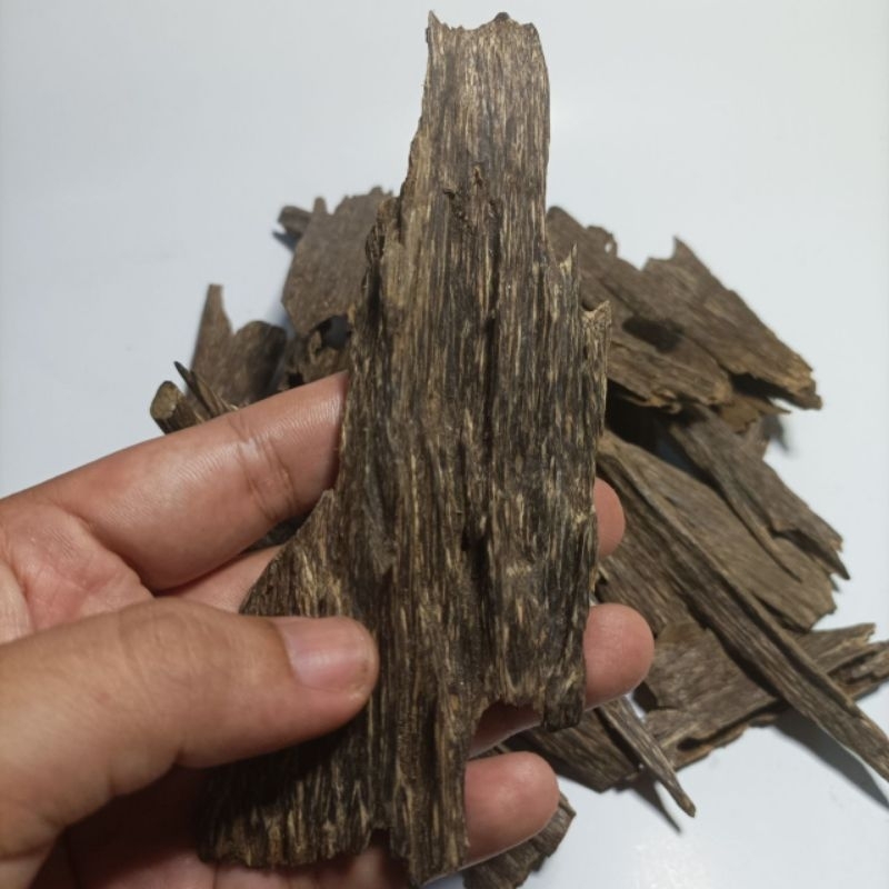 Jual Gaharu Super Aquilaria Malaccensis Gaharu Asli Kalimantan Buhur ...