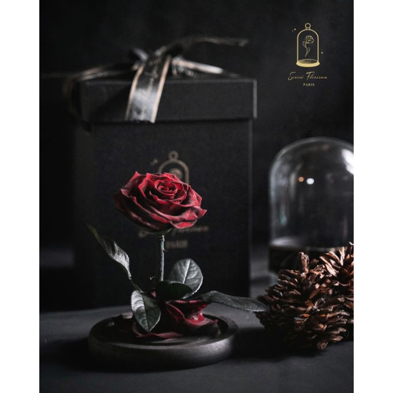 Jual Bunga Mawar | Maroon Red Petite de Rose | Eternal Rose | Kado Unik ...
