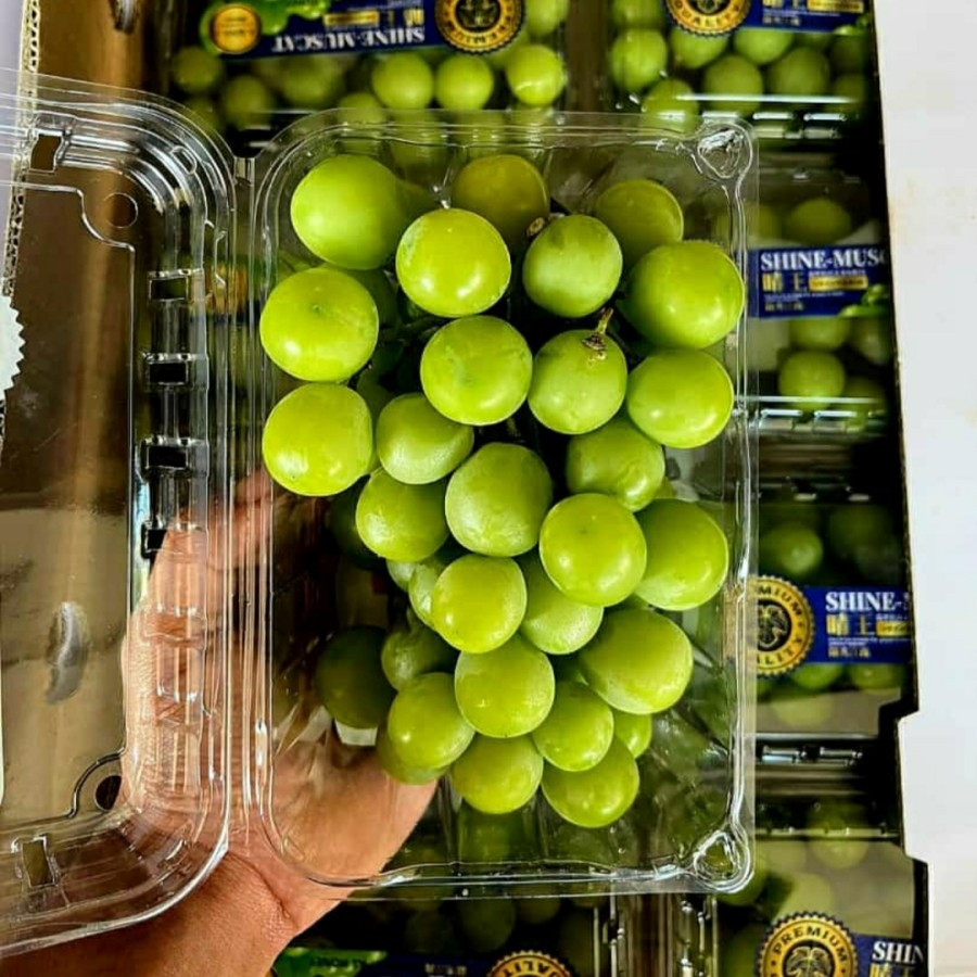 Jual Anggur shine muscat pack 500gr | Shopee Indonesia