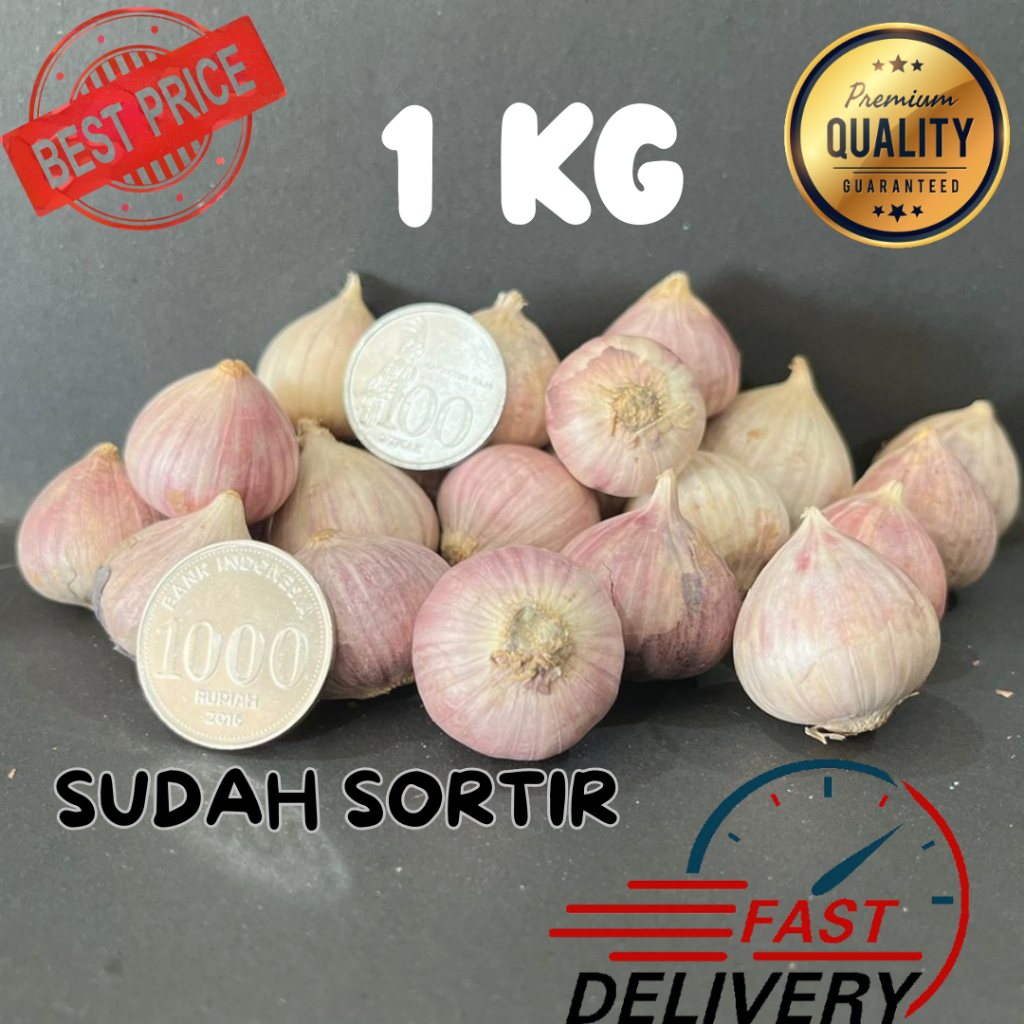 Jual BAWANG TUNGGAL LANANG / SOLO GARLIC BESAR 1 KG / 1000 G DIAMETER 2 - 2,5 CM | Shopee Indonesia