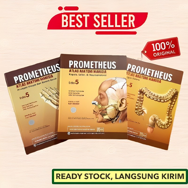 Jual PROMETHEUS Atlas Anatomi Manusia - Paket 3 buku - Edisi 5 ...