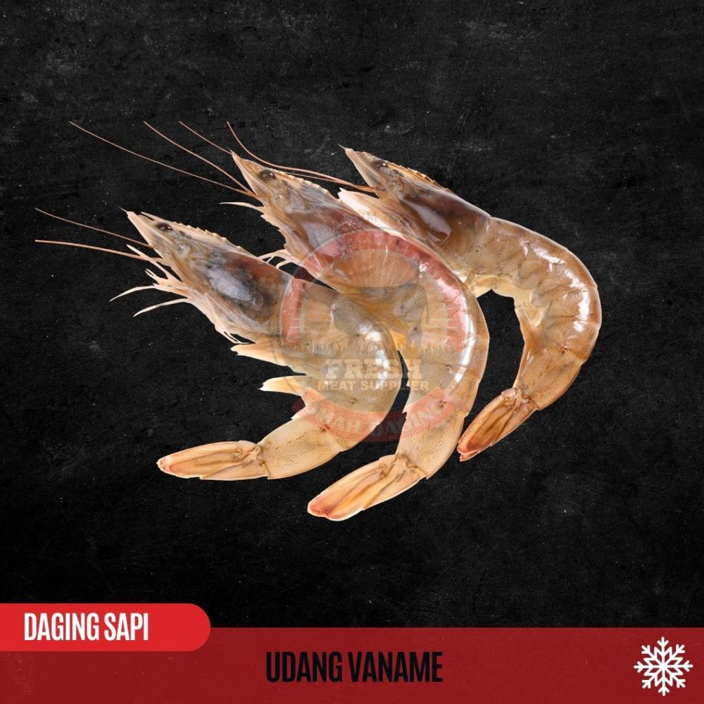 Jual Udang Vaname Utuh / Udang Fanami (Shrimp) | Shopee Indonesia