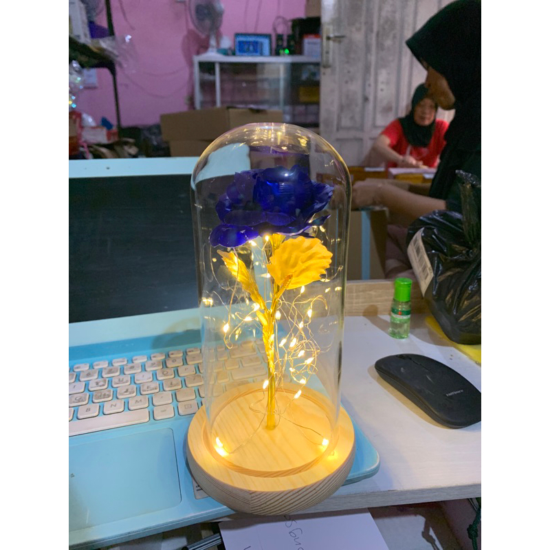 Jual Bunga mawar lampu hias - gift anniversary birthday - rose led ...