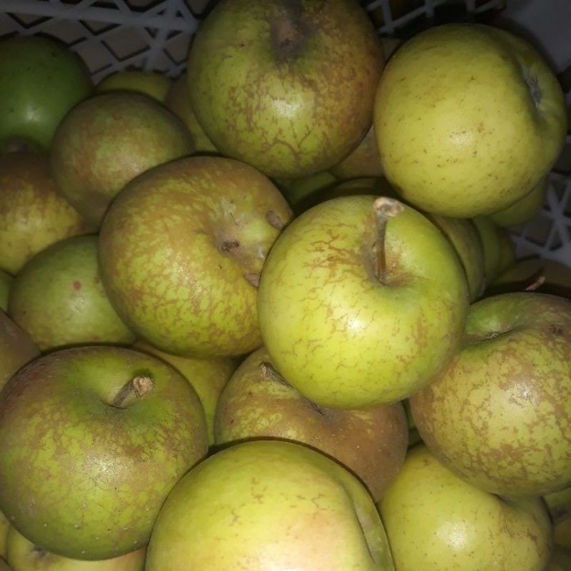 Jual apel malang ijo manalagi ukuran sedang untuk ngemil 500 gram ...