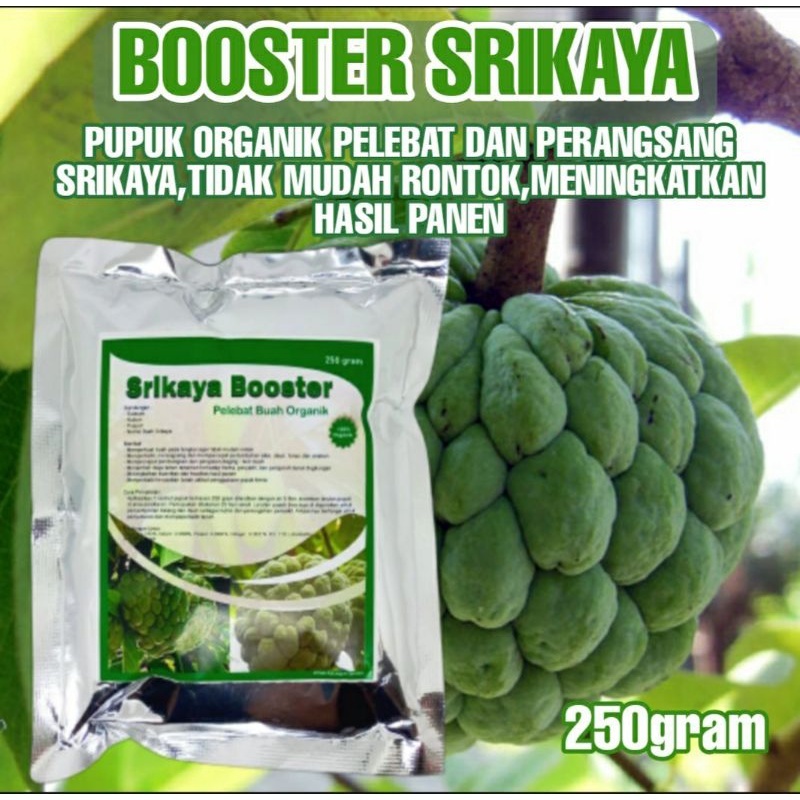 Jual Pupuk pelebat buah srikaya booster srikaya organik menutrisi melebatkan buah sriaya ...