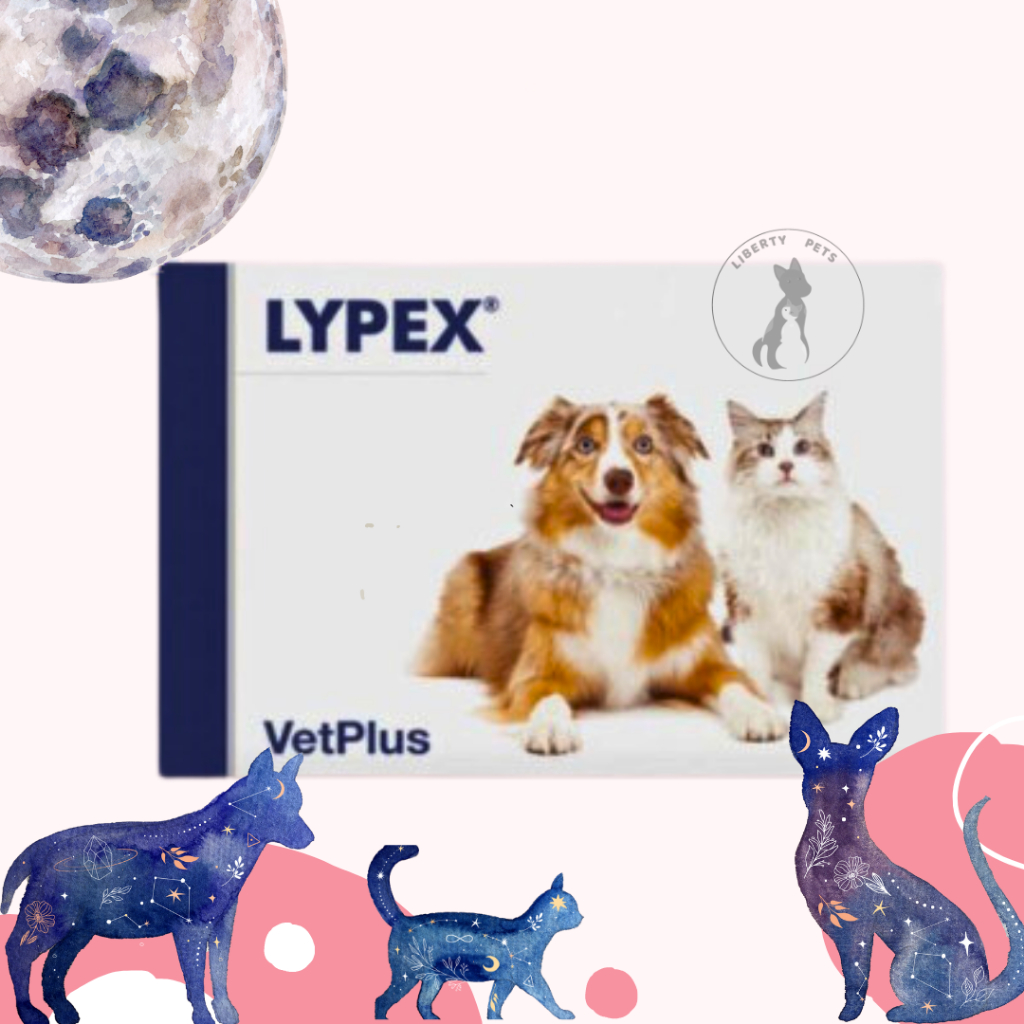 Jual Lypex VetPlus Enzim Pencernaan Anti Diare Kucing Anjing (1 Strip) | Shopee Indonesia