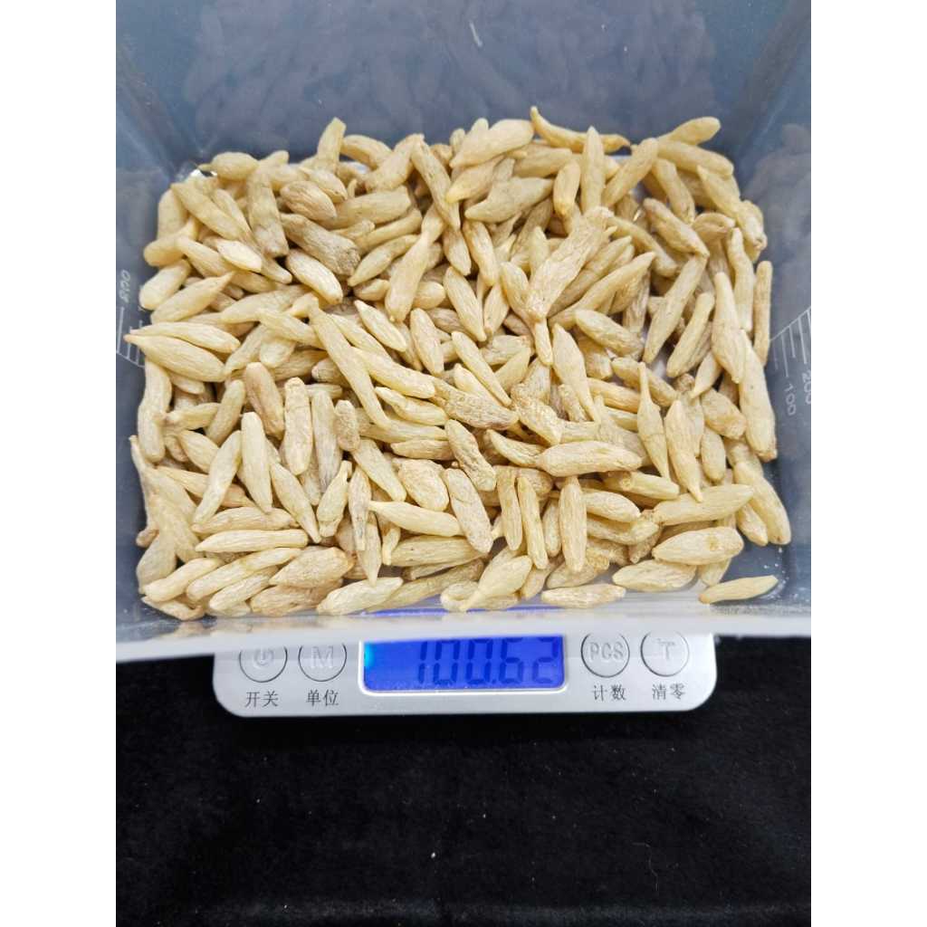 Jual Mai Dong / Mai Men Dong / Ma Tung / Mak tung 麦冬 Tuber Ophiopogonis ...