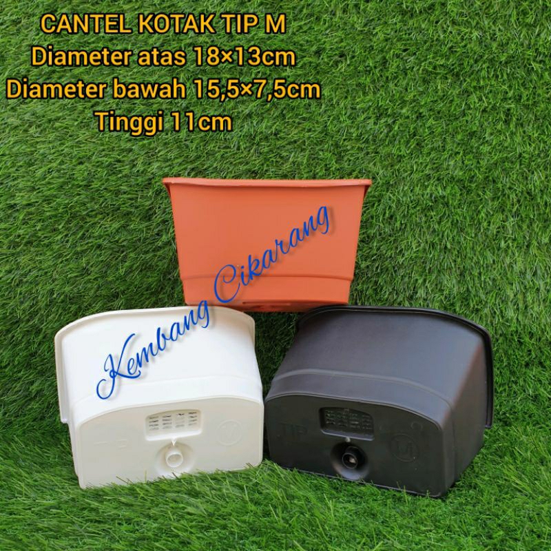 Jual (1pc) CANTEL KOTAK TIP M (18*13) : pot bunga tempel kotak cantol ...
