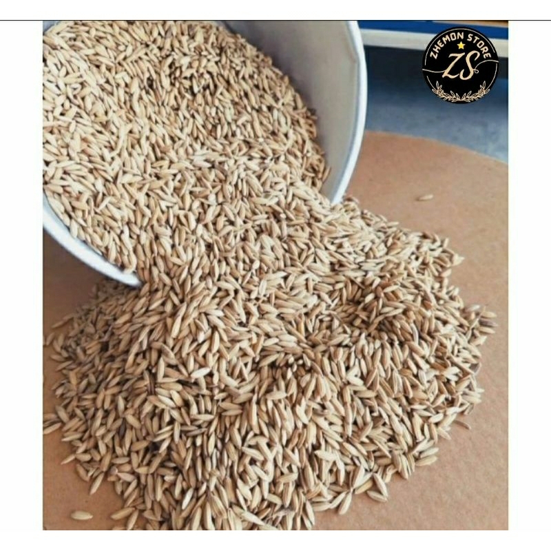 Jual Gabah Kering Kualitas Super 1 Kg Asli Petani | Shopee Indonesia
