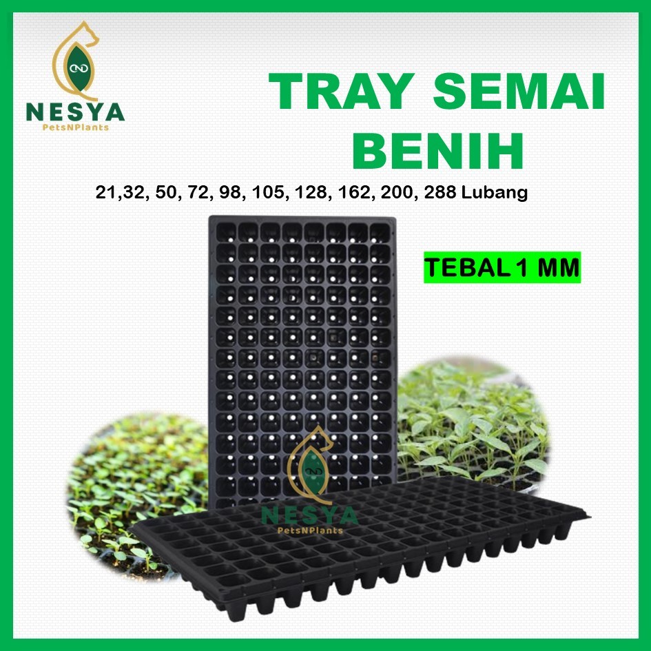 Jual Tray Trai Semai Pot Tray 4 32 50 72 98 105 128 162 200 288 Lubang ...