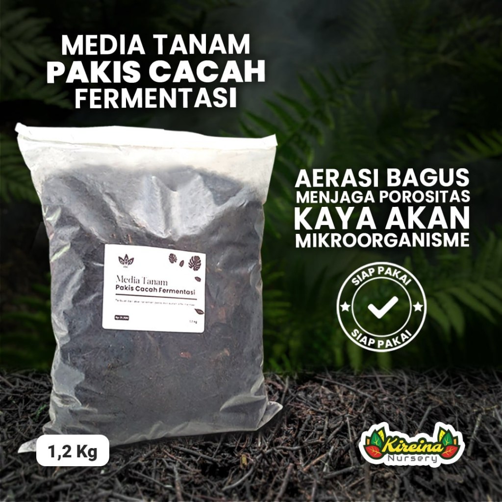 Jual Media Tanam Pakis Cacah Fermentasi 1,2 Kg | Shopee Indonesia