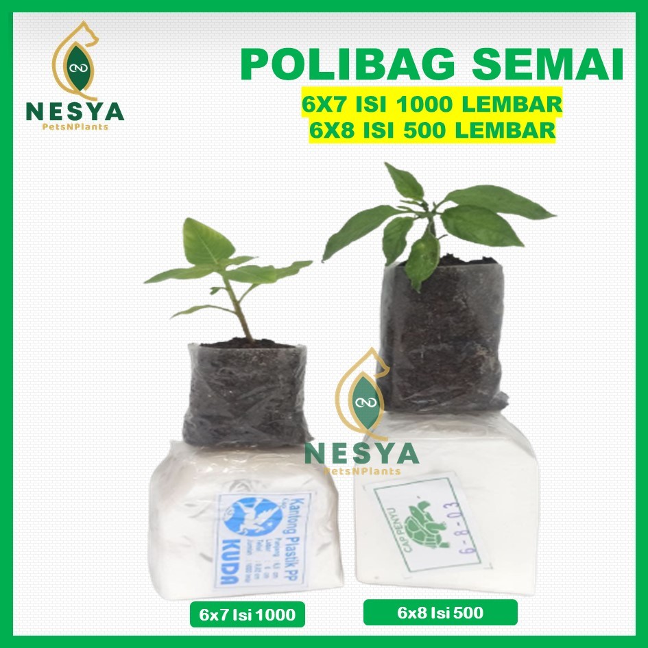 Jual Plastik Semai Polybag Polibag Semai PP Polibag Kecil ukuran 6x7 ...