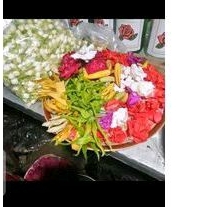 Jual Kembang 7 rupa | Shopee Indonesia