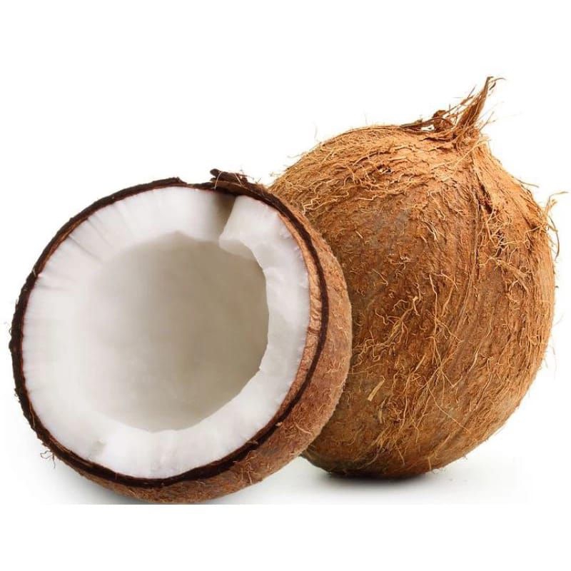 Jual Kelapa per butir / kelapa kupas / kelapa tua berkualitas segar ...