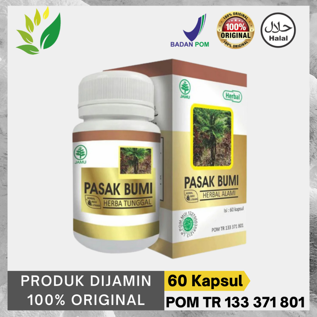 Jual Kapsul Pasak Bumi Original Herbal Stamina Pria dan Kesuburan Pria BPOM | Shopee Indonesia