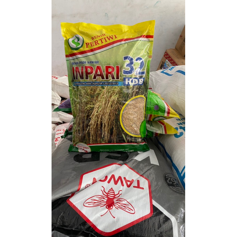 Jual benih padi inpari 32(5Kg) | Shopee Indonesia